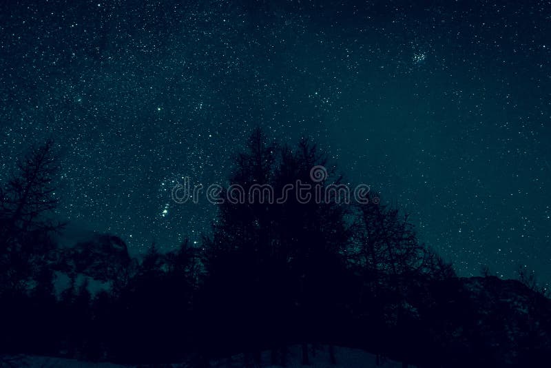 Night Sky Above Winter Forest. Stock Photo - Image of constellation ...