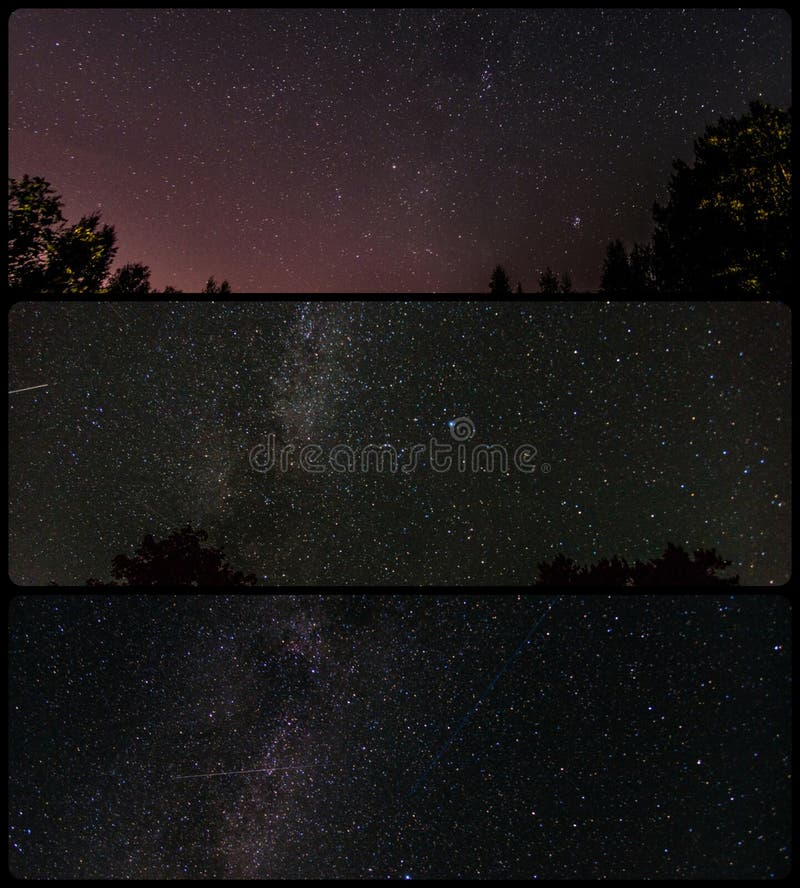Night sky collage stock photo. Image of collage, trees - 331222150