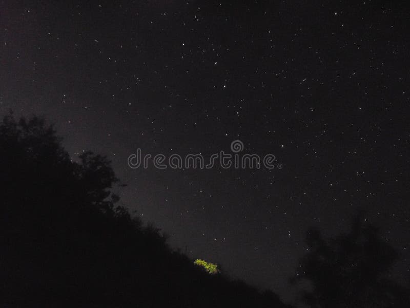 Night Sky Covered with Stars and Peeping Trees Stock Photo - Image of ...