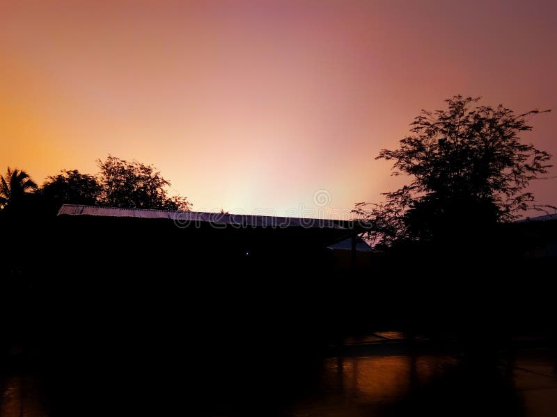 Night stock photo. Image of evening, night, dark, trer - 123448036