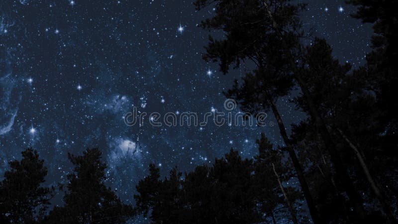 Night Sky in the Forest with Stars and Moon Stock Illustration ...