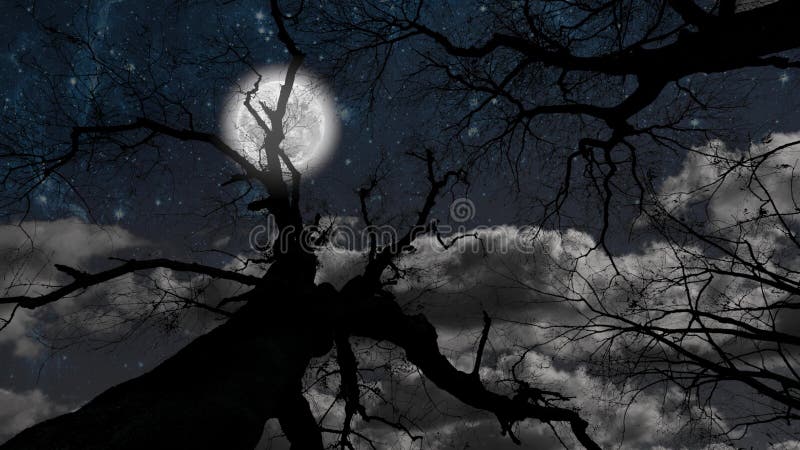 Night Sky in the Forest with Stars and Moon Stock Illustration ...