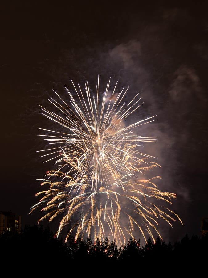 Vibrant Fireworks Illuminate the Night Sky Above a Bustling Cityscape ...