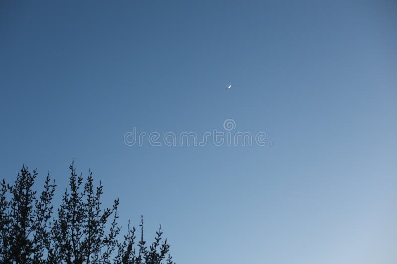 Night Sky Landscape. Crescent Moon on Dark Blue Night Sky Background ...