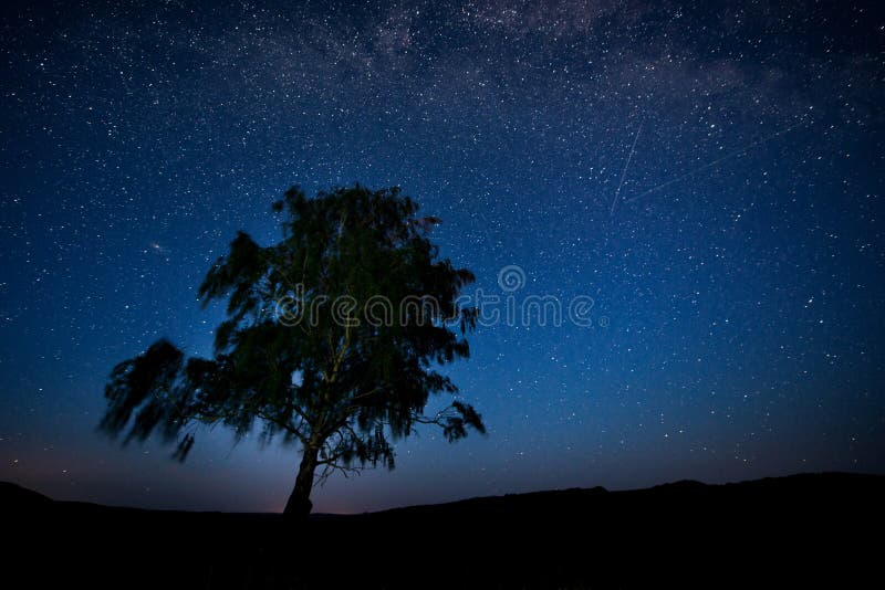 The Night Sky, a Lone Tree and Falling Star Stock Photo - Image of ...