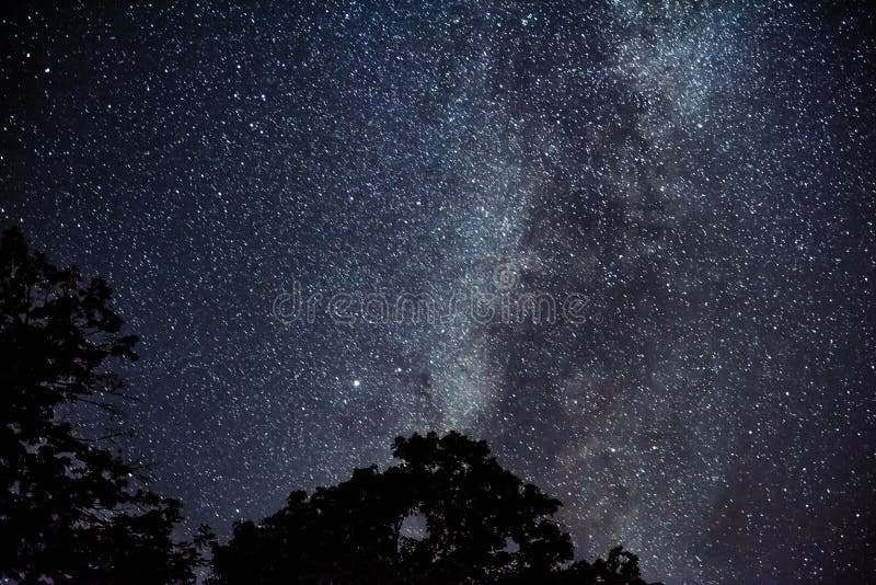 Night Sky and the Milky Way Over Tree Stock Photo - Image of adventure ...