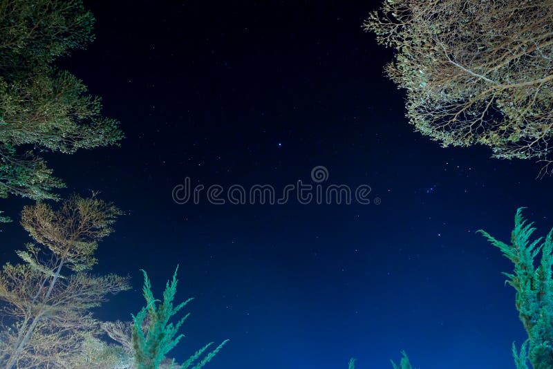 Night sky over tree stock photo. Image of blue, silhouette - 116348128