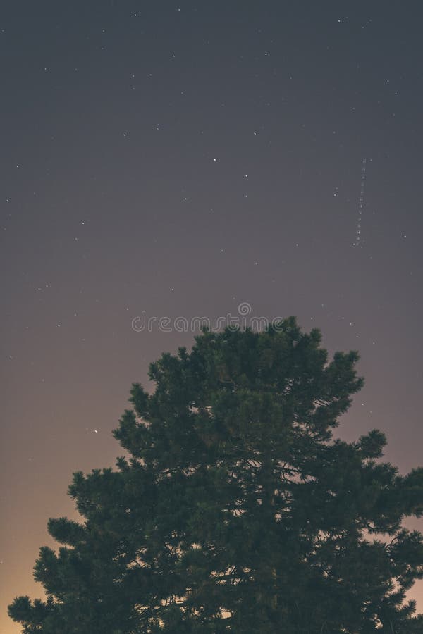 Night sky over tree stock photo. Image of field, scenics - 89601848