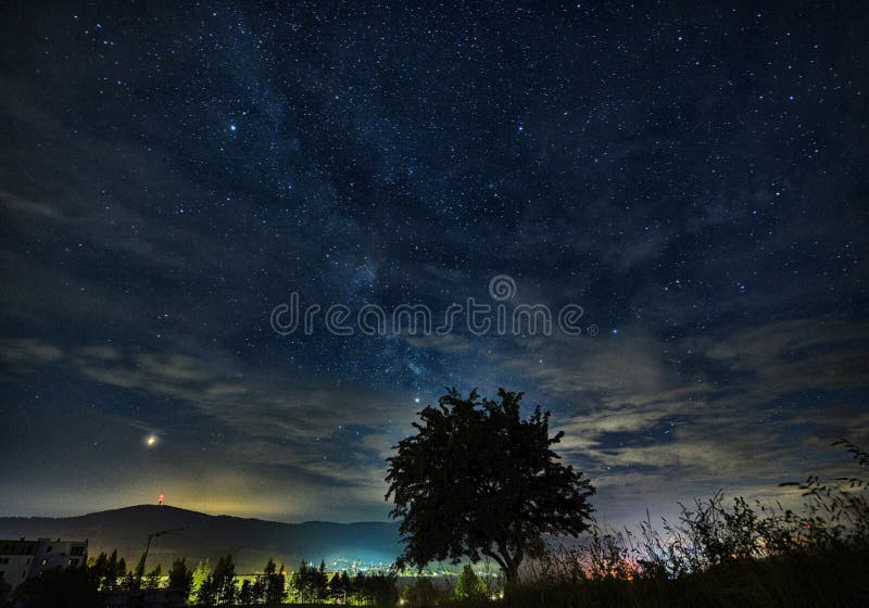 Stars over the tree stock photo. Image of stars, mars - 125046752