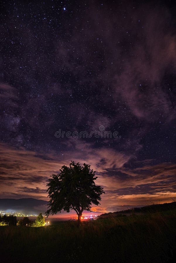 Stars over the tree stock photo. Image of clouds, night - 125045052
