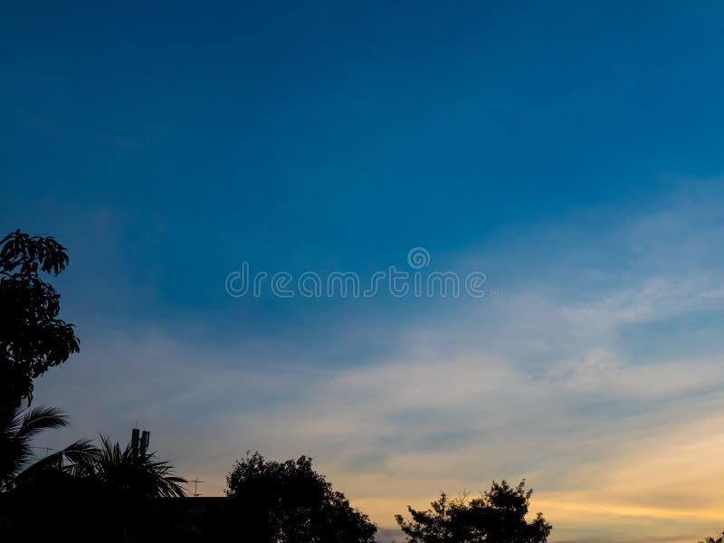 Skies Light Drop Shadow To Tree Stock Image - Image of night, tree ...