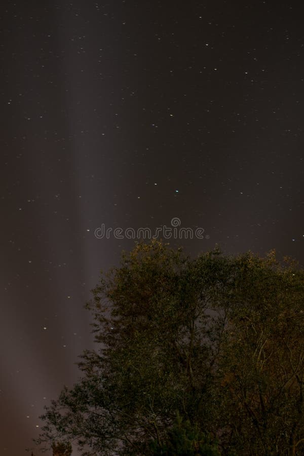Tree and Stars in the Night Stock Image - Image of wooden, pavilosta ...