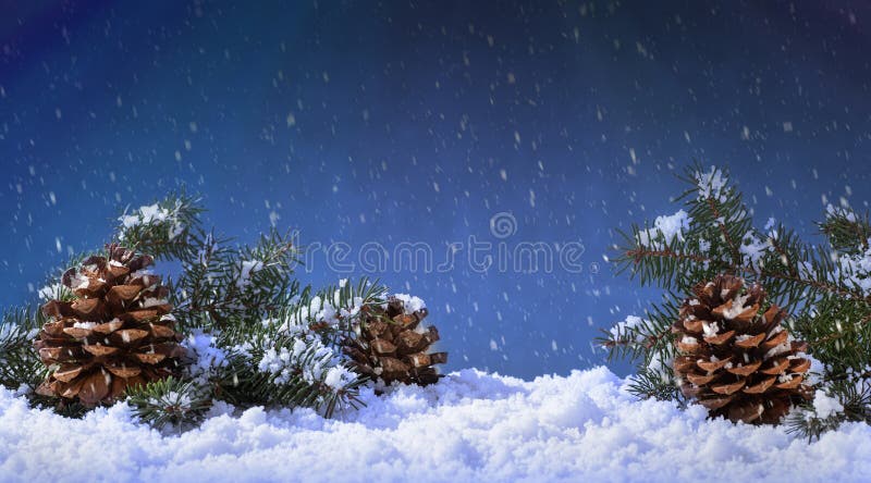 Snow Falling Onto Pine Cones and Evergreen Tree Branches Stock Photo ...