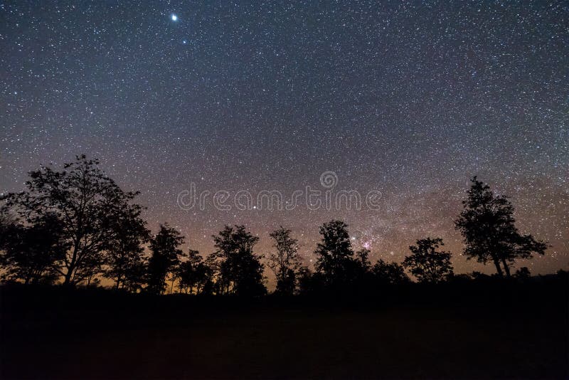Night Sky with Star and Tree Stock Photo - Image of outdoor, galaxy ...