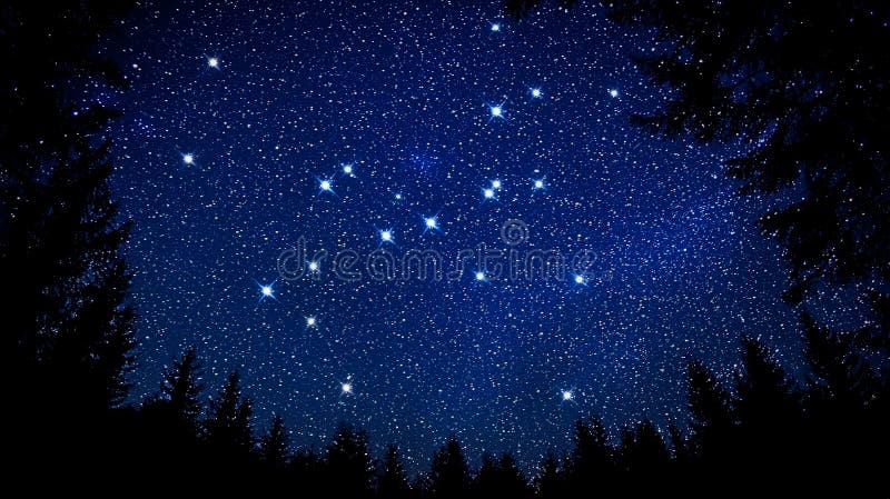 Night Sky with Stars and Constellation Visible through Dark Silhouettes ...