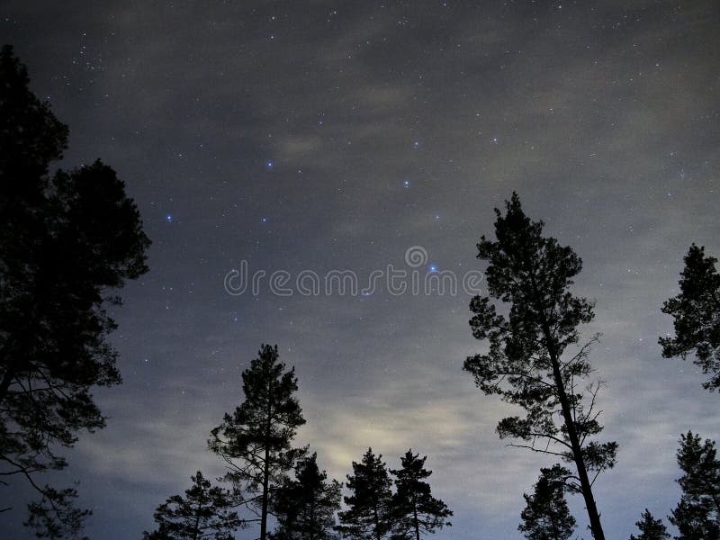 Night Sky Stars Leon Constellation Over Forest Stock Image - Image of ...