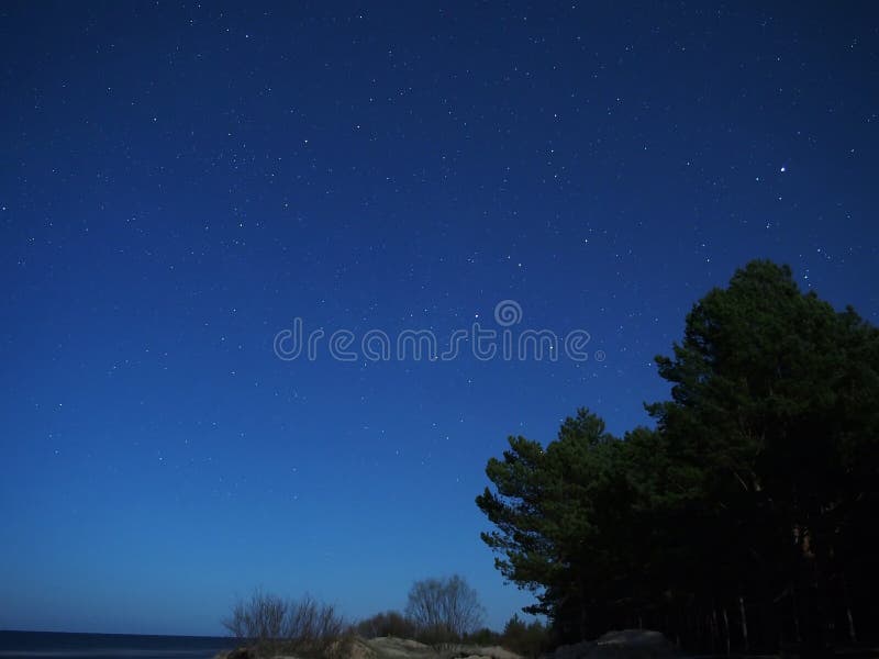 Night sky stars over sea stock photo. Image of sandy - 53541046