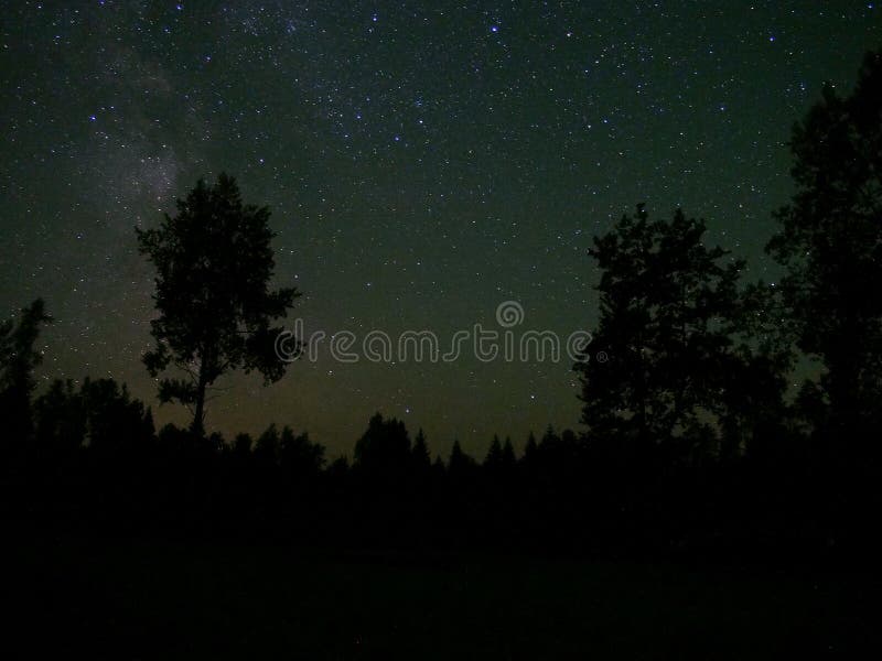 Universe Night Sky Stars Over Forest Stock Image - Image of milk, night ...
