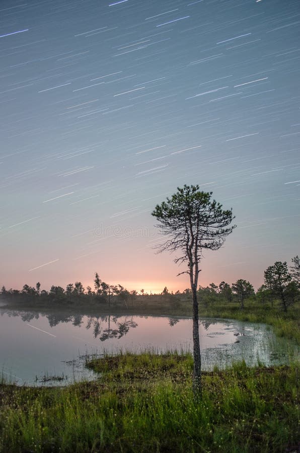 Night sky in the swamp stock photo. Image of reflection - 78335944