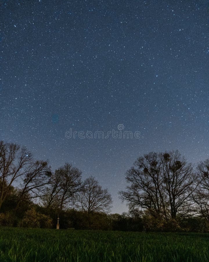 Night Sky with Trees in Foreground Stock Photo - Image of foreground ...