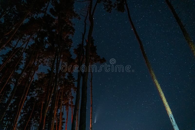 Night Sky with Visible Stars in a Remote Location Where You Can See ...