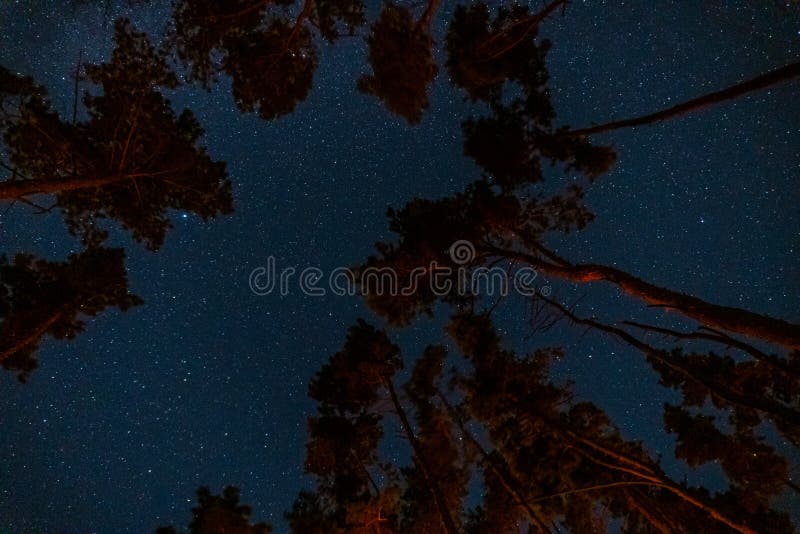 Night Sky with Visible Stars in a Remote Location Where You Can See ...