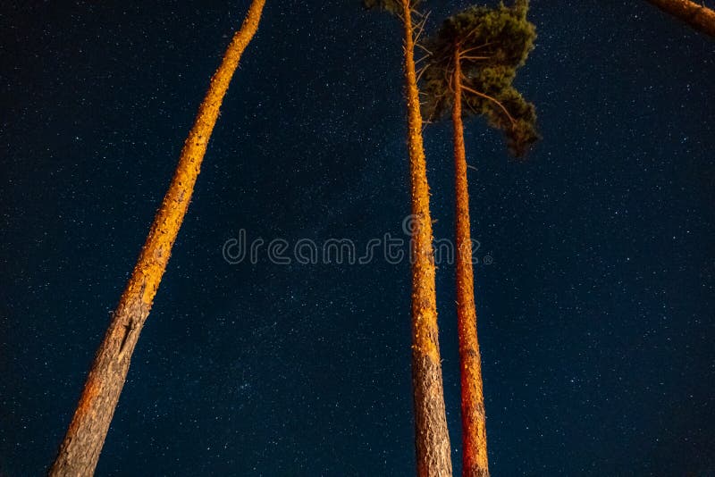 Night Sky with Visible Stars in a Remote Location Where You Can See ...