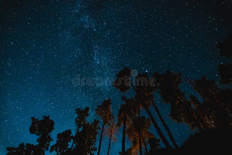 Night Sky with Visible Stars in a Remote Location Where You Can See ...
