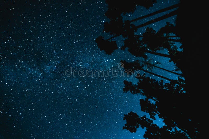 Night Sky with Visible Stars in a Remote Location Where You Can See ...