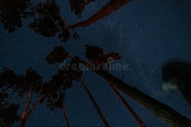 Night Sky with Visible Stars in a Remote Location Where You Can See ...