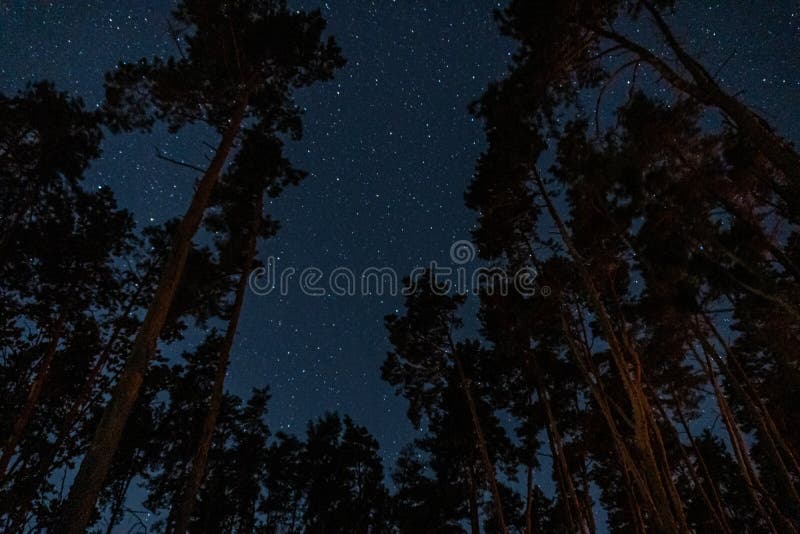 Night Sky with Visible Stars in a Remote Location Where You Can See ...