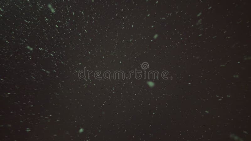 Night Snowfall on the Background of the Sky Stock Video - Video of ...