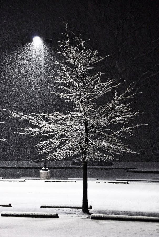 Night Snowfall stock photo. Image of light, snow, spot - 39896514