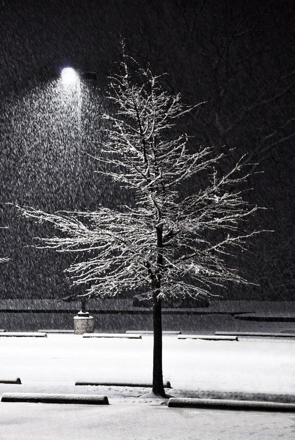 Night Snowfall stock photo. Image of light, snow, spot - 39896514