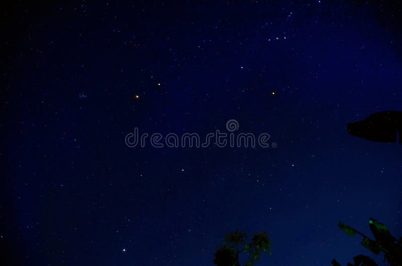 Night star sighting stock photo. Image of astrophotography - 266481426