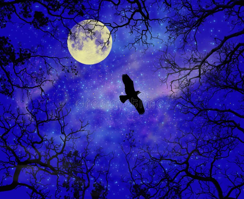 The Night Star Sky with Moon and Bird Stock Illustration - Illustration ...