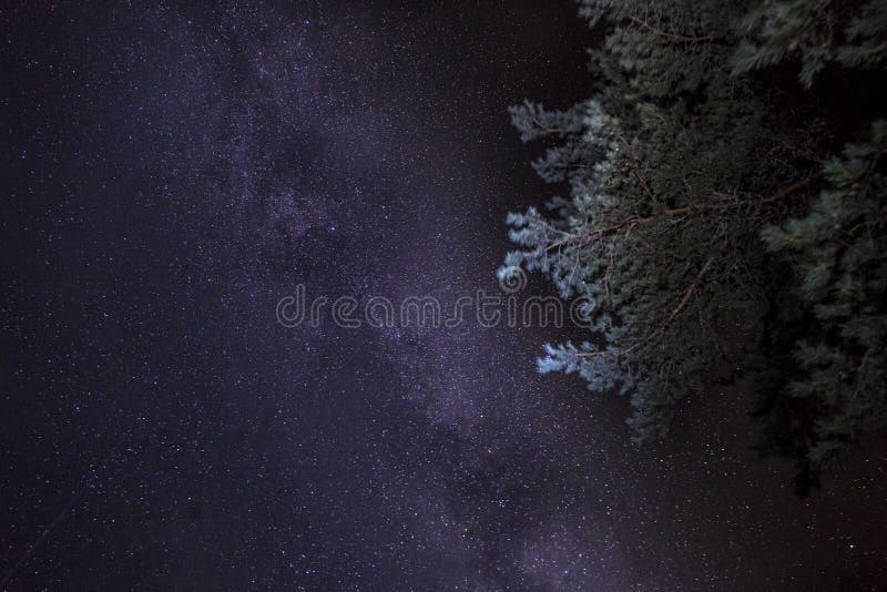 Night Starry Sky Beautiful Scene Stock Photo - Image of atmosphere ...
