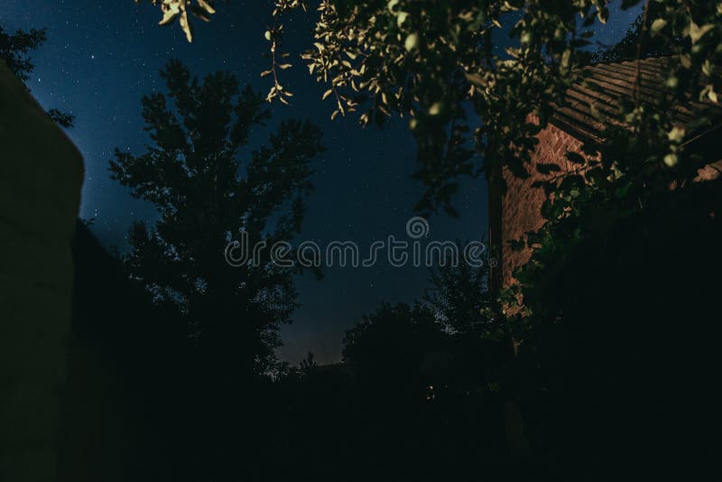Night Starry Sky in the Village in Spring Stock Image - Image of milky ...