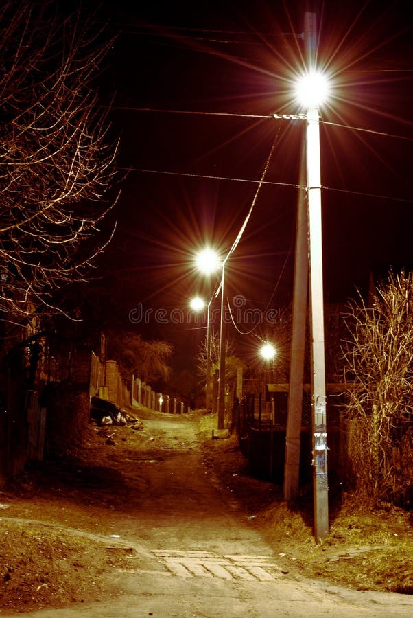 Night street stock photo. Image of night, street, bush - 30979432