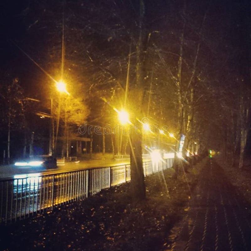 Night Street Next To Pedestrian Pathway Picture. Image: 99110108