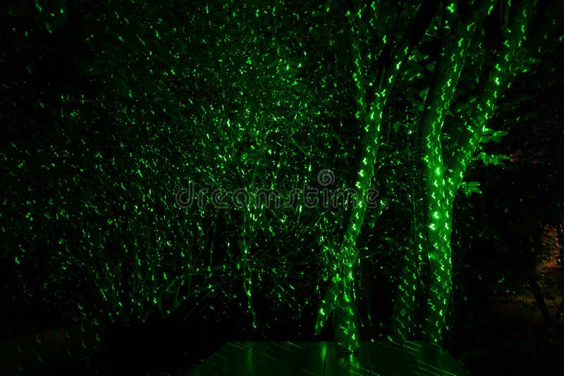 Night Summer Garden in Magical Green Light Stock Photo - Image of ...