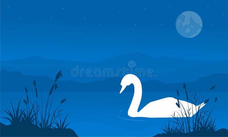 At Night Swan Scenery Silhouettes Stock Vector - Illustration of calm ...