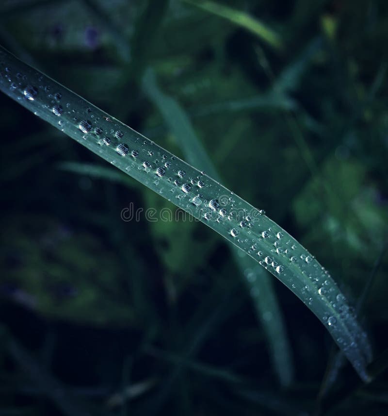 Night tear stock photo. Image of night, teardrop, nature - 91681886