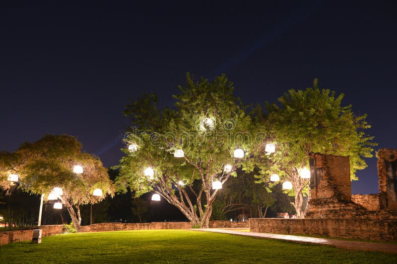 Night Theme Garden Decoration with Tree Decorated with Light Bulb Stock ...