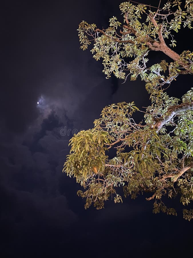 Townmango Stock Photos - Free & Royalty-Free Stock Photos from Dreamstime