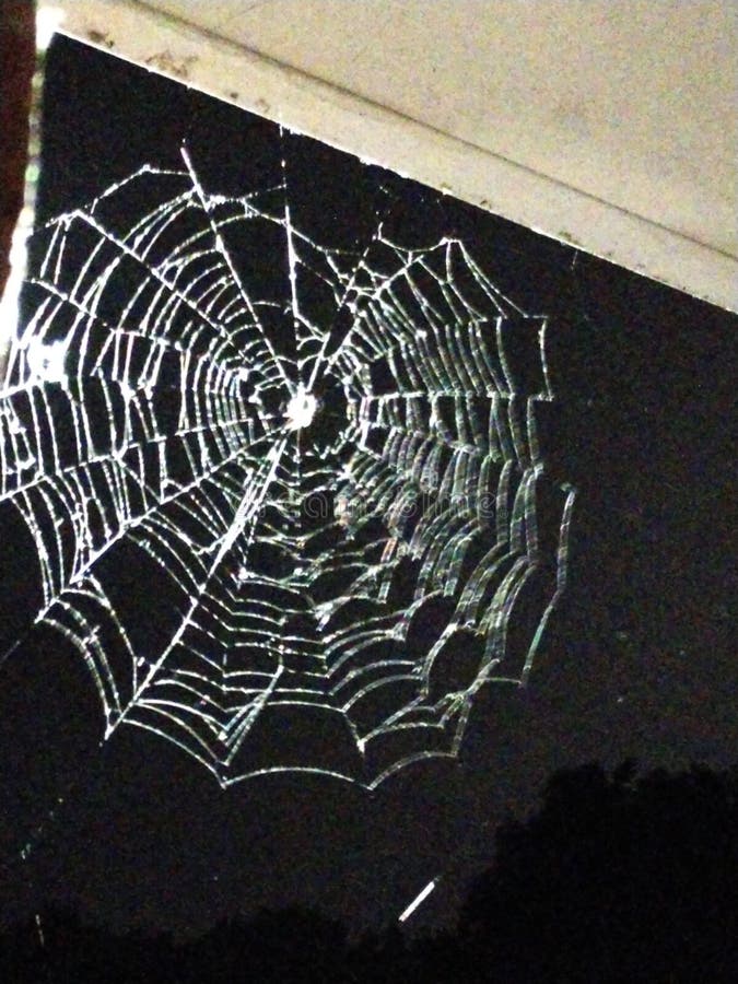 Night Time Spider Web Dark Broken Web Spider Love Insect Stock Photo ...