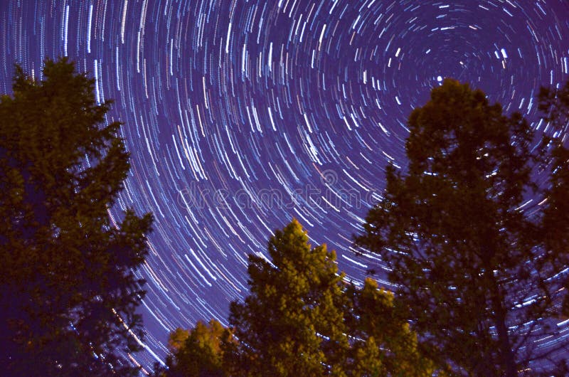 Night Time Tree with Milky Way Stock Image - Image of astrophotography ...