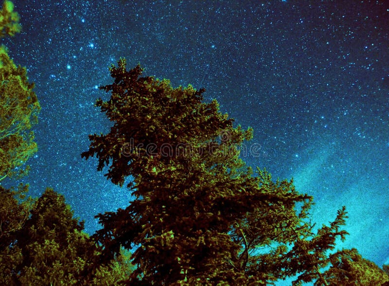 Night Time Tree with Milky Way Stock Image - Image of milky, night ...