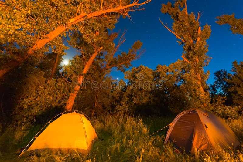 Night Camp Outdoor Scene, Campfire on a Forest Glade Stock Image ...