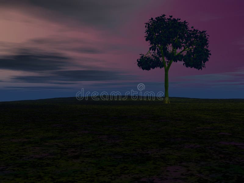 Night Tree stock illustration. Illustration of landscape - 2537710